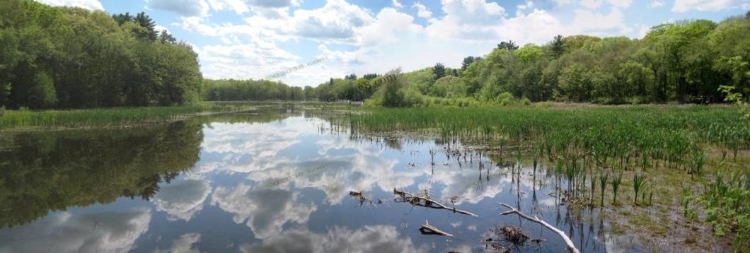 DelCarte Conservation Area | 02038 Real Estate